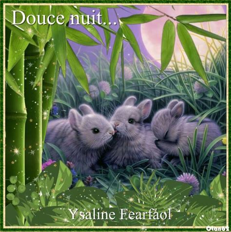 Les Douces Nuits 2018 Douce Nuit Nuit