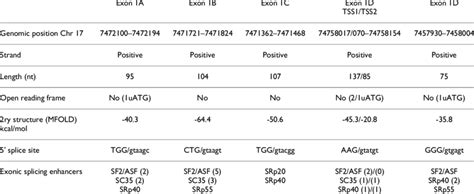 Characteristics Of Human Shbg Alternative First Exons Download Table