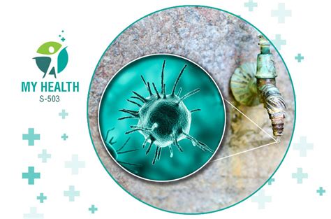 Understanding And Preventing Amoebic Encephalitis A Growing Concern In