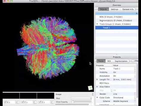 D Connectome Visualization Demo Using TrackVis YouTube