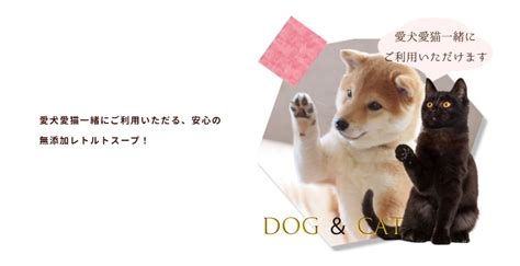 【楽天市場】【割引クーポン配布中】愛犬愛猫の鶏のうま味と6種の滋養たっぷりだしスープ 1袋（50g）犬用 猫用 仔犬 仔猫 シニア レトルト