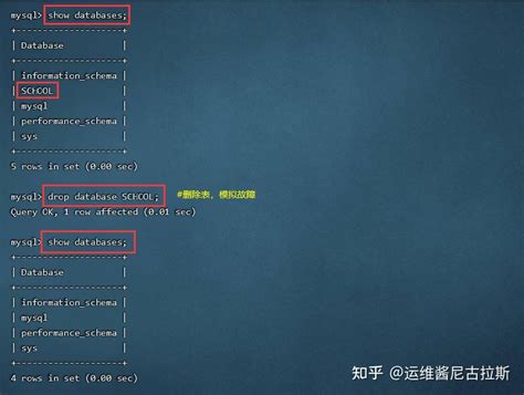 Mysql 数据库备份——完全备份与恢复 知乎