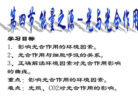 光合作用3word文档免费下载亿佰文档网