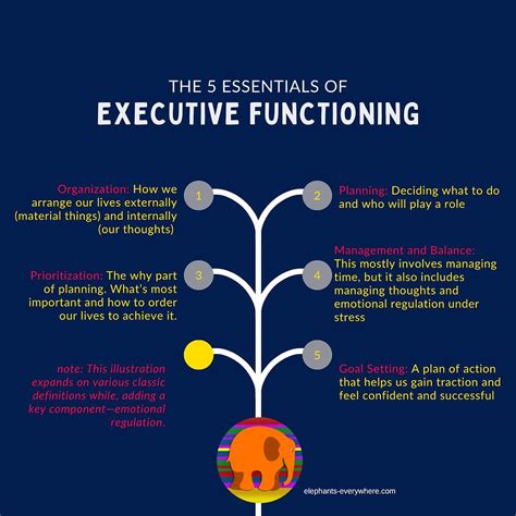 What Is Executive Function