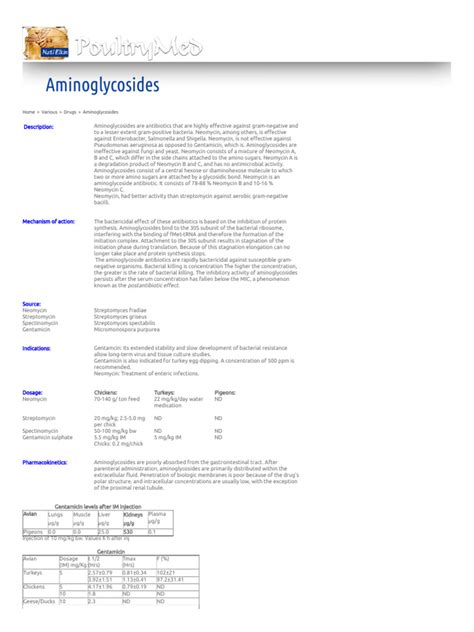 Aminoglycosides Drugs Various Poultrymed Pdf