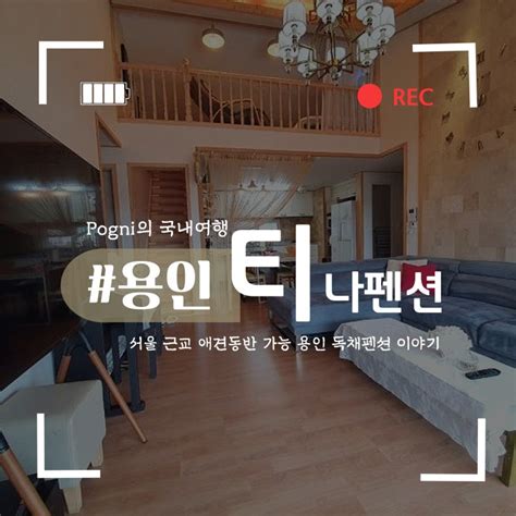 서울근교 용인독채펜션 애견동반 가능 숙소 티나펜션 네이버 블로그