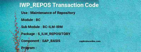 IWP REPOS SAP Tcode For Maintenance Of Repository