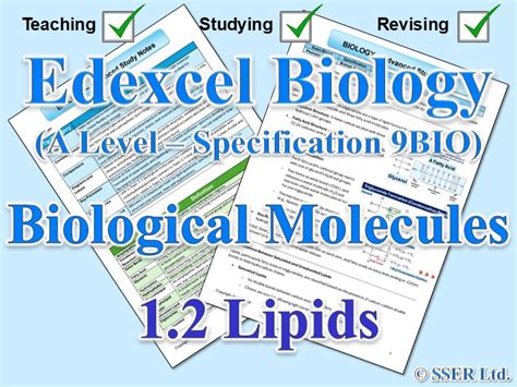 Bioaedx Topic Notes 12 Lipids Teaching Resources