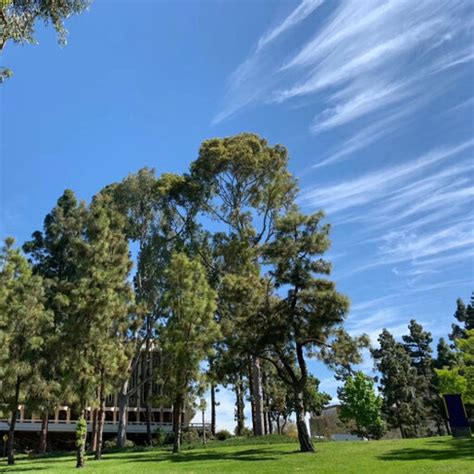 Lei Guan Associate Professor Doctor Of Engineering National University Of Defense