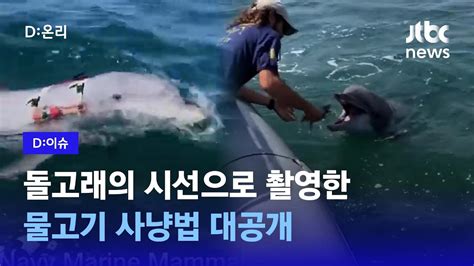 지능 높은 돌고래의 먹이 사냥 영상이 처음으로 공개됐다 ｜d 이슈 Youtube