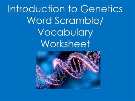 Introduction To Genetics Word Scramble Vocabulary Worksheet Biology