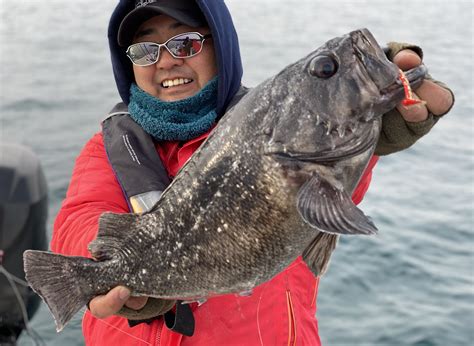 宮城県田代島、網島沖ディープロック2 サンライン