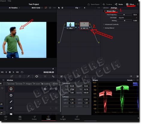 davinci resolve blur face use this blur effect 2025