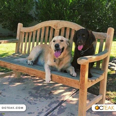 At Oc Teak We Are Proud Of What We Do And Weve Been Doing It For So Long That We Have