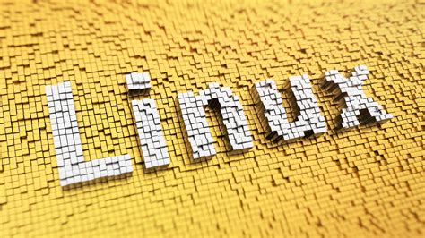 Hands On Guide For Linux Boot File And Folders Coding Bootcamps School