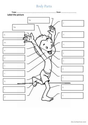 Body Parts English Esl Worksheets Pdf Doc