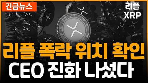 리플 여기까지 떨어진다 브레드갈링 하우스 분기 매출 공개 Youtube