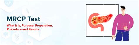 Mrcp Test What It Is Purpose Preparation Procedure And Results