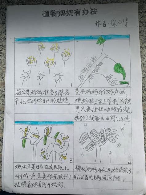 植物妈妈有办法手抄报图片 简笔画 色粉画