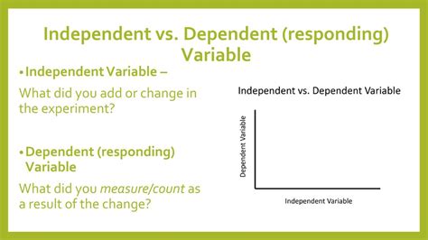 How Do Scientists Conduct Controlled Experiments Ppt Download
