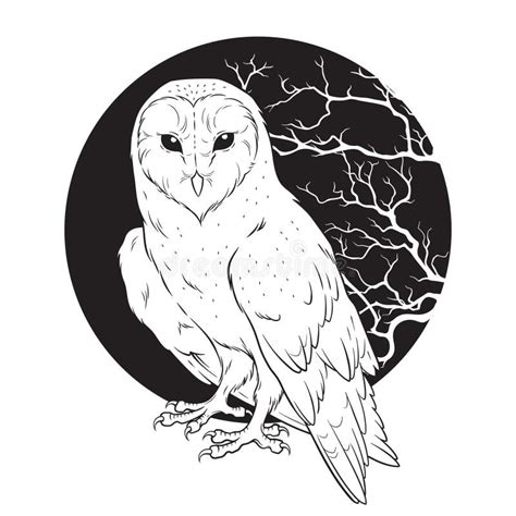 Barn Owl Tattoo Stencil