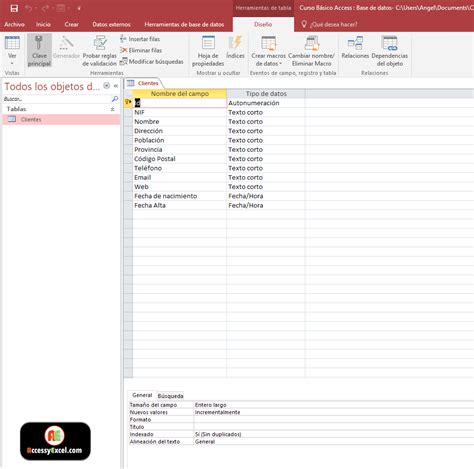Microsoft Access Curso Básico 5 Clientes Mejorando La Tabla Access Excel Vba Y Más