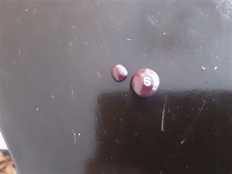 Tiny Skittle I Found Next To Normal Skittle Rmildlyinteresting
