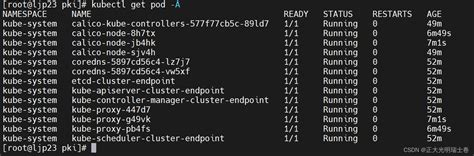 【云原生k8s】kubeadm部署kubernetes集群 csdn博客
