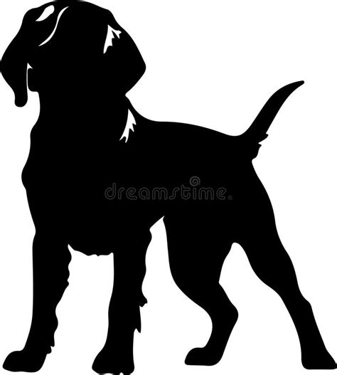 Small Munsterlander Pointer Black Silhouette Generative Ai Stock Vector