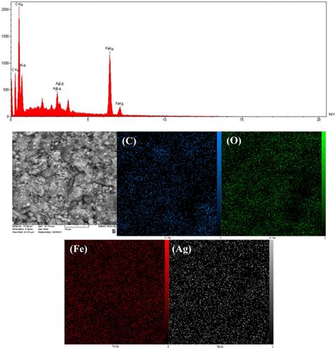Edx Mapping Analysis Of Biochar Fe3o4 Ag Nanocomposite Download