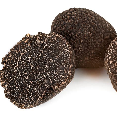 Perigord Trüffel World of Truffle