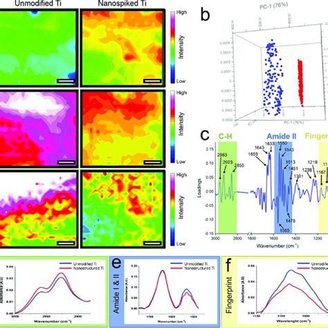Synchrotron Atr Ftir Microspectroscopy Of S Aureus Attached To A