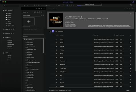 Duplicate Tracks Is It Back Again In Studio Playlist Audirvana