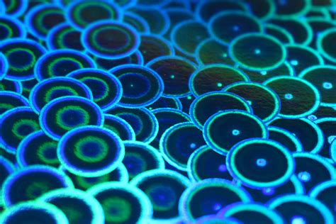 Cool Circle Patterns