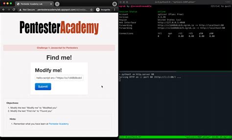 Javascript For Pentesters Part 1 Sp1icer