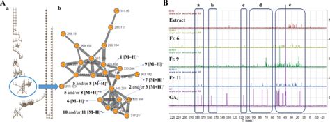 Metabolic Profiling For The Endophytic Fungus Fusarium Sp Nj F5 A Download Scientific