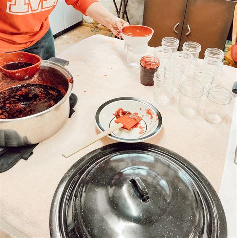 The Best Homemade Raspberry Jelly Mornings On Macedonia