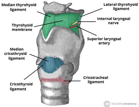 Em Didactic November 2018