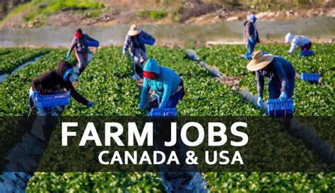 Apply For Farm Jobs In Canada And Usa
