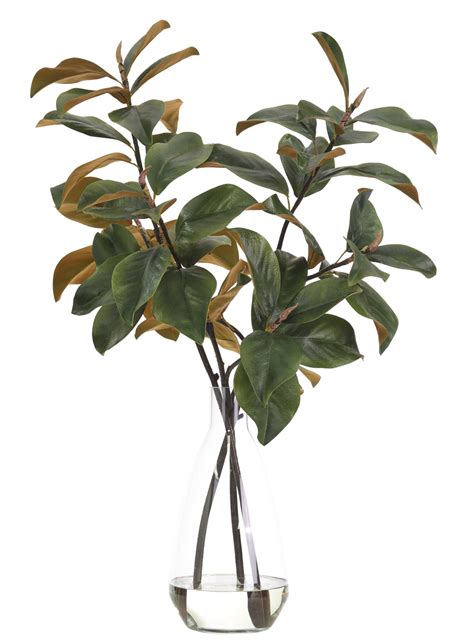 Magnolia Branch Faux Watergarden 36 Ndi