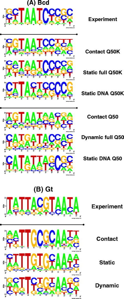 Pwm Predictions By Homology For Dmelanogaster Tf Bicoid Bcd A And