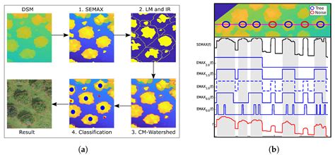 Individual Detection Of Citrus And Avocado Trees Using Extended Maxima