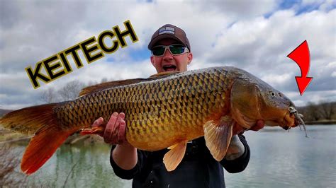 Huge Carp On Keitech Swimbait Youtube