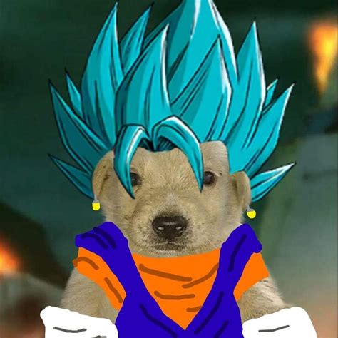 Vegito Meme