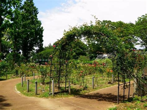 千葉市都市緑化植物園の完全ガイドレビュー駐車場遊具など