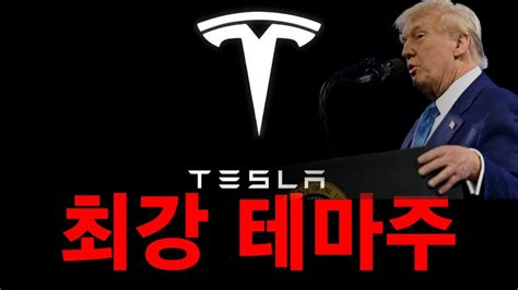 테슬라 최강의 테마주 테슬라 테슬라주가 테슬라주가전망 테슬라주식 테슬라전망 일론머스크 테슬라관련주 Ai
