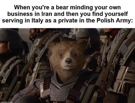 Wojtek Is Doing His Part R Historymemes