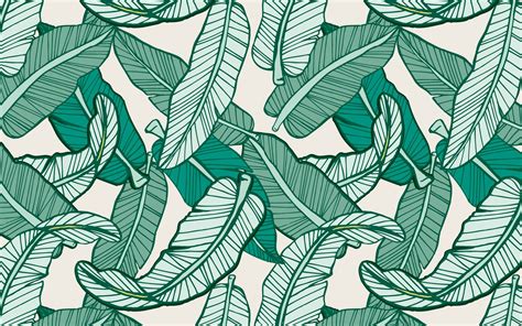 Banana Leaf Wallpapers Wallpaper Cave