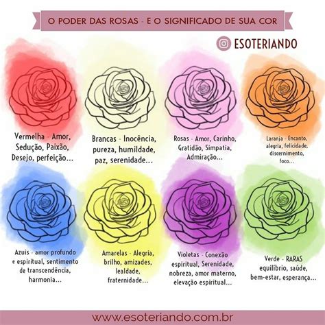 O Poder Das Rosas E O Significado De Suas Cores Cores Significado