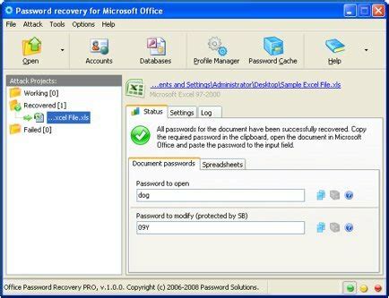 Excel Password Recovery Instructions